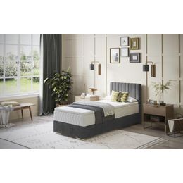 Boxbett Inosign "Thor mit Bettkasten, inkl. Matratze, Topseller", grau (aqua clean pascha 214 anthrazit), B:96cm L:208cm, Baumwolle, Polyester, Komplettbetten, Boxspringbett, Topper und Zierkissen, in verschiedenen Härtegraden verfügbar