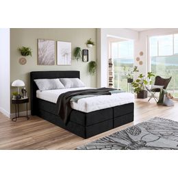 Boxspringbett, schwarz, B:155cm L:205cm, Microvelours (100% Polyester), Westfalia Schlafkomfort, Komplettbetten, Boxspringbett, wahlweise mit Kaltschaum-Topper, Topseller