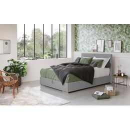 Boxbett COTTA "Tom mit Bettkasten, Topper und Zierkissen", grau (light grau), B:145cm L:209cm, Komplettbetten, Bett Betten mit Bettkasten, Bestseller, Unser Dauertiefpreis