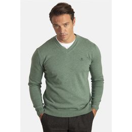 Strickpullover SIR RAYMOND TAILOR "Los Angeles", Herren, Gr. S, grün, 100% Baumwolle, unifarben, Casual, normal, V-Ausschnitt, Pullover, mit klassischem V-Ausschnitt