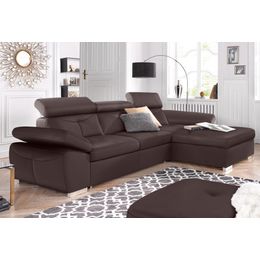 Ecksofa exxpo - SOFA FASHION "Spring, super bequem, mit Armteil- und Kopfteilfunktion, OTTOs Choice", braun, B:284cm H:81cm T:181cm, Luxus-Microfaser (100% Polyester);Struktur (100% Polyester);NaturLEDER (echtes Rindsleder) in Sitz und R&uuml;cken. Korpus in passendem Kunstleder SOFTLUX bezogen, Sofas, Ecksofa, L-Form, wahlweise mit Bettfunktion und Bettkasten, Topseller