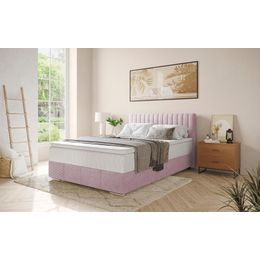 Boxbett Inosign "Thor mit Bettkasten, inkl. Matratze, Topseller", rosa (stripes 8626 flamingo), B:146cm L:208cm, Komplettbetten, Boxspringbett, Topper und Zierkissen, in verschiedenen Härtegraden verfügbar