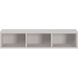 Wandregal Germania "GW-Alkmaar", braun (kaschmir), B:19 H:90 T:25, Spanplatte, Regale, vielseitig einsetzbar