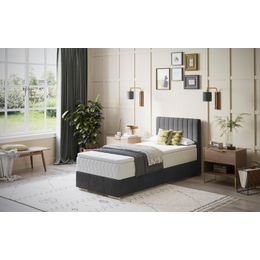 Boxbett Inosign "Thor mit Bettkasten, inkl. Matratze, Topseller", grau (stripes 8629 stone), B:96cm L:208cm, Komplettbetten, Boxspringbett, Topper und Zierkissen, in verschiedenen Härtegraden verfügbar