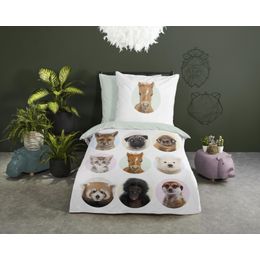 Kinderbettwäsche Good Morning "Younganimals", bunt (multi, minze), B/L: 135cm x 200cm, 1 Stk., 1 Stk., Renforcé, B/L: 80cm x 80cm, 2 Stk., Renforcé, Obermaterial: 100% Baumwolle, Bettwäsche, 100% Baumwolle, 135x200, Reißverschluss, Wendeoptik, Kind, Tier