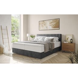 Boxbett Inosign "Thor mit Bettkasten, inkl. Matratze, Topseller", schwarz (savona 21 schwarz), B:186cm L:208cm, Komplettbetten, Boxspringbett, Topper und Zierkissen, in verschiedenen Härtegraden verfügbar