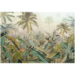 Vliestapete Komar "Vlies - Amazonia - Gr&ouml;&szlig;e 368 x 248 cm", blau, B:368m L:248m, Vlies, Tapeten, Wohnzimmer, Schlafzimmer