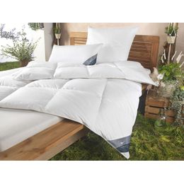 Häussling Daunenbettdecke HAEUSSLING "GRÖNLAND Made in Green", weiß, B:155cm L:220cm, Bezug: 100% Baumwolle. Füllung: 90% Entendaune, 10% Entenfeder, Bettdecken, hochwertiges Daunenprodukt" Made in Green" zertifiziert