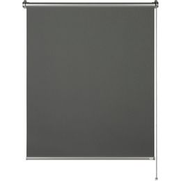 Schöner Wohnen Kollektion Seitenzugrollo "Thermorollo Martha", grau (anthrazit), B:120, Polyester, SCHÖNER WOHNEN-KOLLEKTION, Rollos, Schöner Wohnen Rollo, geklebt