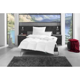 3-Kammer-Kopfkissen FAN "f.a.n. Canada", weiß, B:40 L:80, Bezug: 100% Baumwolle. Füllung Außenkammer: 90% Entendaune, 10% Entenfeder. Füllung Innenkammer: 100% Entenfeder, Kopfkissen