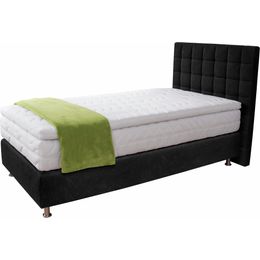 Boxspringbett, grau, B:195cm L:210cm, Microvelours (100% Polyester);Strukturstoff (77% Polyester und 23% Viskose);Bonnell-Federkern-Matratzenbezug: 100% Polyester;Kaltschaum-Matratzenbezug: Frottee 100% Polyester, Westfalia Schlafkomfort, Komplettbetten, Boxspringbett