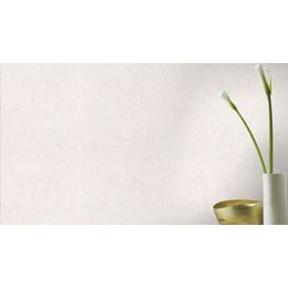 Papiertapete rasch "mit Betonoptik", beige, B:0,53m L:10,05m, Papier, Tapeten, Betonoptik