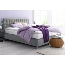Boxspringbett, grau, B:155cm L:210cm, Microvelours (100% Polyester);Strukturstoff (77% Polyester und 23% Viskose);Bonnell-Federkern-Matratzenbezug: 100% Polyester;Kaltschaum-Matratzenbezug: Frottee 100% Polyester, Westfalia Schlafkomfort, Komplettbetten, Boxspringbett