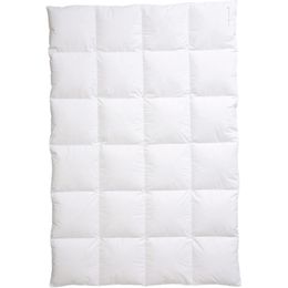 Centa Star Daunenbettdecke CENTA-STAR "Nordic", weiß, B:135cm L:200cm, Bezug: 100% Baumwolle. Füllung: 90% Daunen, 10% Federn, Bettdecken, hochwertiges Naturprodukt mit hervorragendem Wärmevermögen