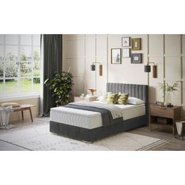 Boxbett Inosign "Thor mit Bettkasten, inkl. Matratze, Topseller", grau (aqua clean pascha 214 anthrazit), B:126cm L:208cm, Baumwolle, Polyester, Komplettbetten, Boxspringbett, Topper und Zierkissen, in verschiedenen Härtegraden verfügbar