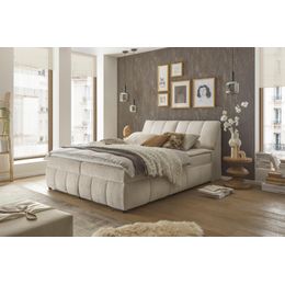 Boxbett ED EXCITING DESIGN "Valencia", weiß, B:163cm L:240cm, 100% Polyester, Komplettbetten, Boxspringbett, inkl. Bettkasten und Stauraum im Kopfteil