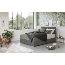 Boxbett COTTA "Tom mit Bettkasten, Topper und Zierkissen", grau (anthrazit), B:145cm L:209cm, Komplettbetten, Bett Betten mit Bettkasten, Bestseller, Unser Dauertiefpreis
