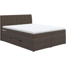 Boxspringbett COTTA "Shark inkl. Bettkasten und Topper", braun (espresso), B:186cm L:212cm, 100% POLYESTER (PES), Komplettbetten, erhältlich in den Breiten 140x200cm, 160x200cm und 180x200cm, Topseller