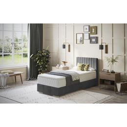 Boxbett Inosign "Thor mit Bettkasten, inkl. Matratze, Topseller", schwarz (savona 21 schwarz), B:96cm L:208cm, Komplettbetten, Boxspringbett, Topper und Zierkissen, in verschiedenen Härtegraden verfügbar