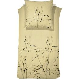 Bettwäsche Damai "Dew", braun (camel), B/L: 135cm x 200cm, 1 Stk., 1 Stk., Renforcé (Bio-Baumwolle), B/L: 80cm x 80cm, 2 Stk., Renforcé (Bio-Baumwolle), Obermaterial: 100% Baumwolle, Bettwäsche, mit Gräsern