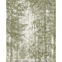 Vliestapete Komar "Digitaldruck Vlies - Fading Forest - Gr&ouml;&szlig;e 200 x 250 cm", rot (braun, wei&szlig;, rot), B:200m L:250m, Vlies, Tapeten, Wohnzimmer, Schlafzimmer