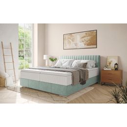 Boxbett Inosign "Thor mit Bettkasten, inkl. Matratze, Topseller", blau (stripes 8624 blau grau), B:186cm L:208cm, Komplettbetten, Boxspringbett, Topper und Zierkissen, in verschiedenen Härtegraden verfügbar