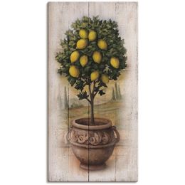 Leinwandbild Artland "Zitronenbaum mit Holzoptik", bunt (farbe bild(er): naturfarben), B:20cm H:40cm, Canvas, Leinwand, Bilder, auf Keilrahmen gespannt