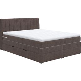 Boxspringbett COTTA "Shark inkl. Bettkasten und Topper", braun (mud), B:186cm L:212cm, 100% POLYESTER (PES), Komplettbetten, erhältlich in den Breiten 140x200cm, 160x200cm und 180x200cm, Topseller