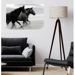 Wandsticker queence "Horses", schwarz, B:150cm H:90cm T:0,1cm, Folie, Wandtattoos, Selbstklebend, kinderleichte Anbringung
