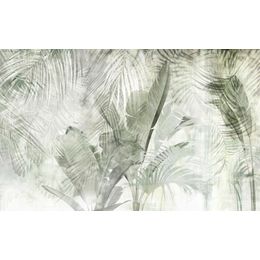 Vliestapete Komar "Digitaldruck Vlies - Botanical Boho - Größe 400 x 250 cm", grün (grün, weiß), B:400 L:250, Vlies, Tapeten, Wohnzimmer, Schlafzimmer