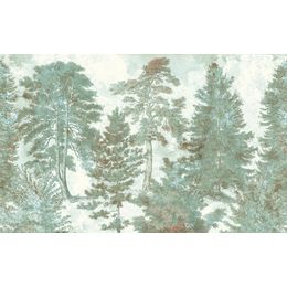 Fototapete Komar "Digitaldruck Vlies - Pale Panoramic - Größe 400 x 250 cm", bunt, B:4m H:2,5m L:0,01m, Vlies, Tapeten, Wohnzimmer, Schlafzimmer