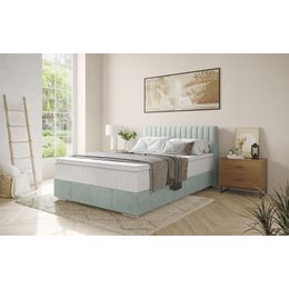 Boxbett Inosign "Thor mit Bettkasten, inkl. Matratze, Topseller", blau (stripes 8624 blau grau), B:146cm L:208cm, Komplettbetten, Boxspringbett, Topper und Zierkissen, in verschiedenen Härtegraden verfügbar