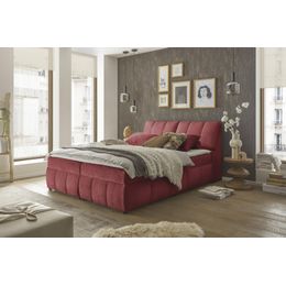 Boxbett ED EXCITING DESIGN "Valencia", rot, B:183cm L:240cm, 100% Polyester, Komplettbetten, Boxspringbett, inkl. Bettkasten und Stauraum im Kopfteil