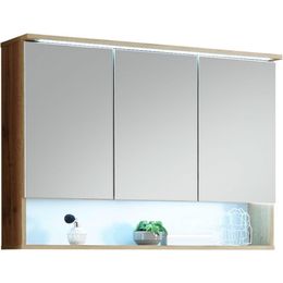 Spiegelschrank BASIC BY BALCULINA "Best Spiegelschrank, Badezimmerschrank BxHxT 100x70x23 cm", braun (wildeiche), B:100cm H:70cm T:23cm, Holzwerkstoff, Schränke, Breite 100 cm, LED-Beleuchtung, Softclose