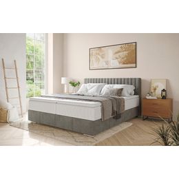 Boxbett Inosign "Thor mit Bettkasten, inkl. Matratze, Topseller", grau (aqua clean pascha 612 melange), B:186cm L:208cm, Baumwolle, Polyester, Komplettbetten, Boxspringbett, Topper und Zierkissen, in verschiedenen Härtegraden verfügbar