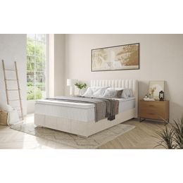Boxbett Inosign "Thor mit Bettkasten, inkl. Matratze, Topseller", beige (stripes 8622 natur), B:146cm L:208cm, Komplettbetten, Boxspringbett, Topper und Zierkissen, in verschiedenen Härtegraden verfügbar