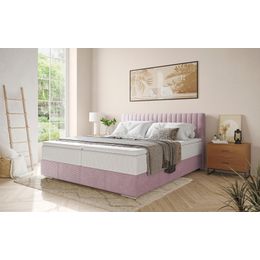 Boxbett Inosign "Thor mit Bettkasten, inkl. Matratze, Topseller", rosa (stripes 8626 flamingo), B:186cm L:208cm, Komplettbetten, Boxspringbett, Topper und Zierkissen, in verschiedenen Härtegraden verfügbar