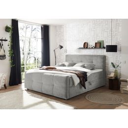 Boxbett ED EXCITING DESIGN "Winnipeg", grau (grau uran 02 schlamm), B:180cm L:226cm, 95% Polyester, 5% Nylon, Komplettbetten, Boxspringbett, inkl. zwei Bettkästen und Topper