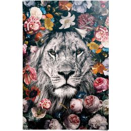 Poster Reinders "L&ouml;we Blumenkranz - Pflanzen - Farbenfroh", bunt (farbe bild(er): mehrfarbig), B:61cm H:91,5cm, Papier, Bilder, Poster
