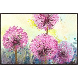 Fußmatte Gr. 2, pink (pink, beige), B:50cm H:7mm L:75cm, Polyamid, wash+dry by Kleen-Tex, Teppiche