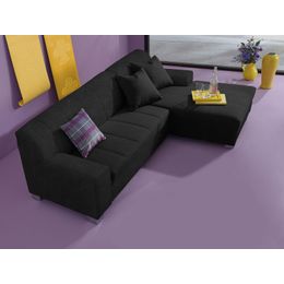Ecksofa POLYESTER BEZUG "Anzio, elegant und gem&uuml;tlich, Breite 239cm, L-Form", schwarz, B:239cm H:75cm T:82cm, Sofas, Ecksofa, wahlweise mit Bettfunktion