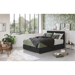 Boxbett COTTA "Tom mit Bettkasten, Topper und Zierkissen", schwarz, B:145cm L:209cm, Komplettbetten, Bett Betten mit Bettkasten, Bestseller, Unser Dauertiefpreis