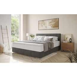 Boxbett Inosign "Thor mit Bettkasten, inkl. Matratze, Topseller", braun (aqua clean pascha 412 rock), B:186cm L:208cm, Baumwolle, Polyester, Komplettbetten, Boxspringbett, Topper und Zierkissen, in verschiedenen Härtegraden verfügbar