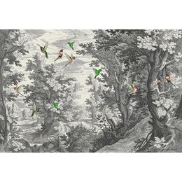 Livingwalls Fototapete LIVING WALLS "Walls by Patel Fancy Forest", grau (grau3), B:4m L:2,7m, Vlies, Tapeten, Vlies, Wand