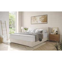 Boxbett Inosign "Thor mit Bettkasten, inkl. Matratze, Topseller", beige (stripes 8622 natur), B:186cm L:208cm, Komplettbetten, Boxspringbett, Topper und Zierkissen, in verschiedenen Härtegraden verfügbar