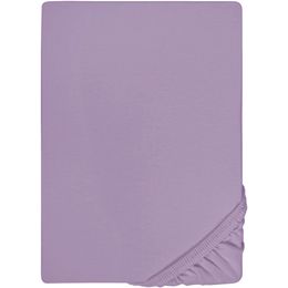 Spannbettlaken Biberna "Marc", lila (viola), L:200cm, Jersey, Obermaterial: 100% Baumwolle, Bettlaken, aus Baumwolle, für Matratzen bis 22 cm Höhe, Bettlaken, Spannbetttuch