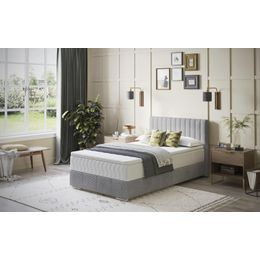Boxbett Inosign "Thor mit Bettkasten, inkl. Matratze, Topseller", grau (stripes 8637 warm grau), B:126cm L:208cm, Komplettbetten, Boxspringbett, Topper und Zierkissen, in verschiedenen Härtegraden verfügbar