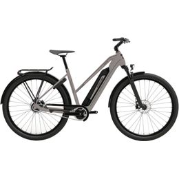 FISCHER BIKE E-Bike FISCHER FAHRRAD "TERRA 2.2 459" Gr. 50, grau, Elektrofahrräder, 50cm, 29 Zoll (73,66cm)