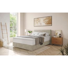 Boxbett Inosign "Thor mit Bettkasten, inkl. Matratze, Topseller", beige (aqua clean pascha 02 natur), B:146cm L:208cm, Baumwolle, Polyester, Komplettbetten, Boxspringbett, Topper und Zierkissen, in verschiedenen Härtegraden verfügbar