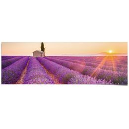 Poster Reinders "Lavendel Horizont", lila (farbe bild(er): lila), B:158cm H:53cm, Papier, Bilder, Poster
